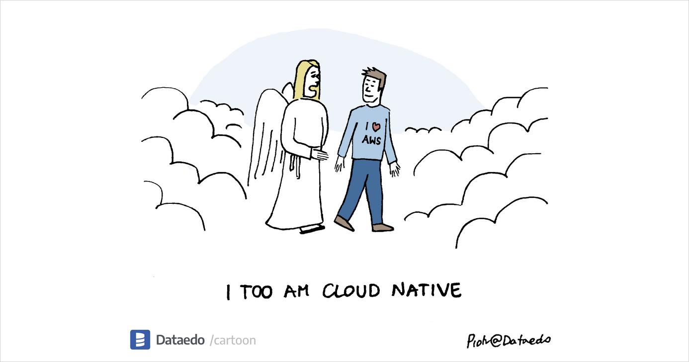 Cloud Native or Cloud Immigrant? - Dataedo Data Cartoons