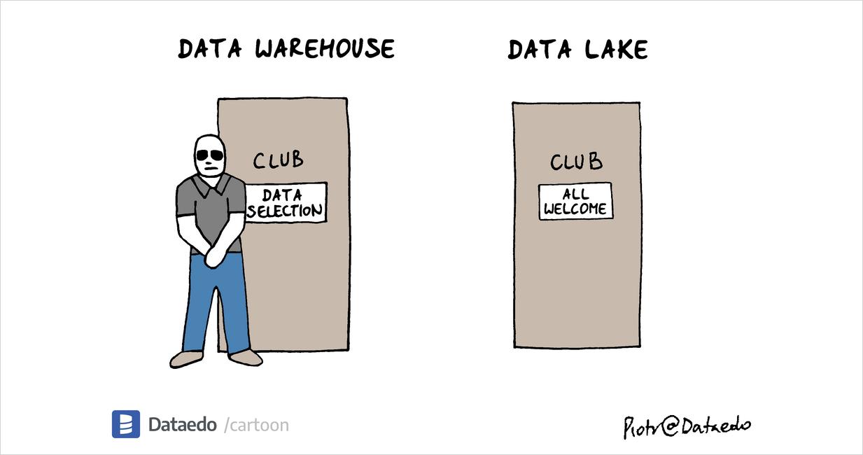 Data Warehouse vs Data Lake #2: The gatekeeper - Dataedo Data Cartoons