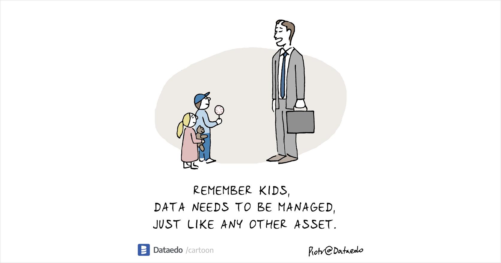 Data is an Asset - Dataedo Data Cartoons