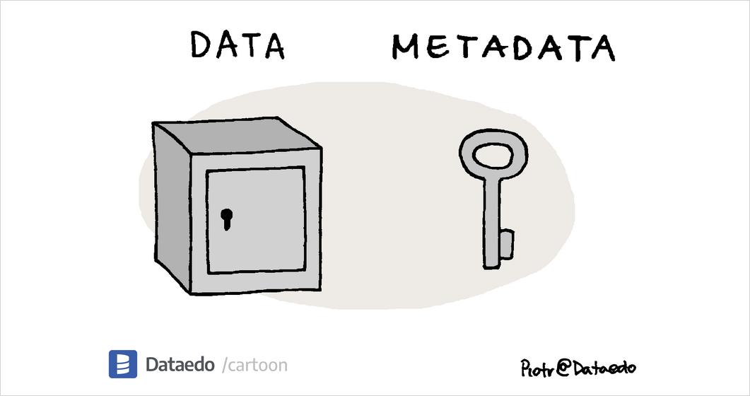 Data vs Metadata #1 - Dataedo Data Cartoons