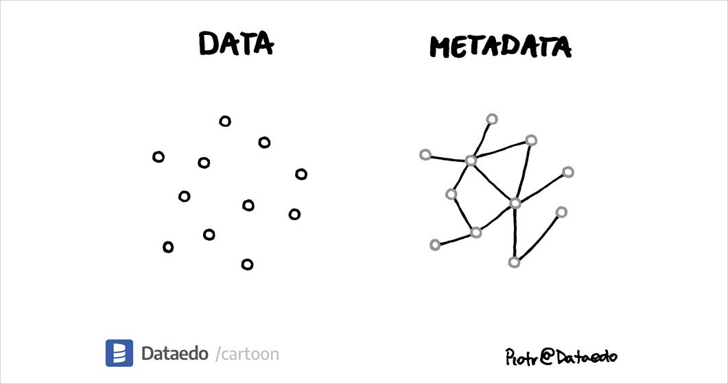 Data vs Metadata #11 - Dataedo Data Cartoons