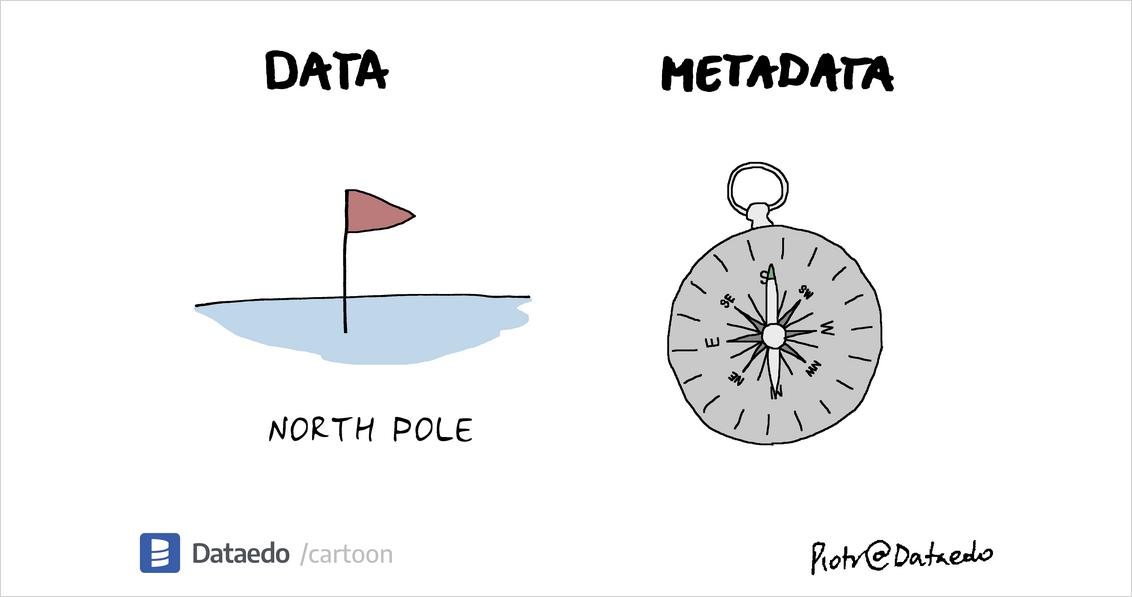 Data vs Metadata #12 - Dataedo Data Cartoons