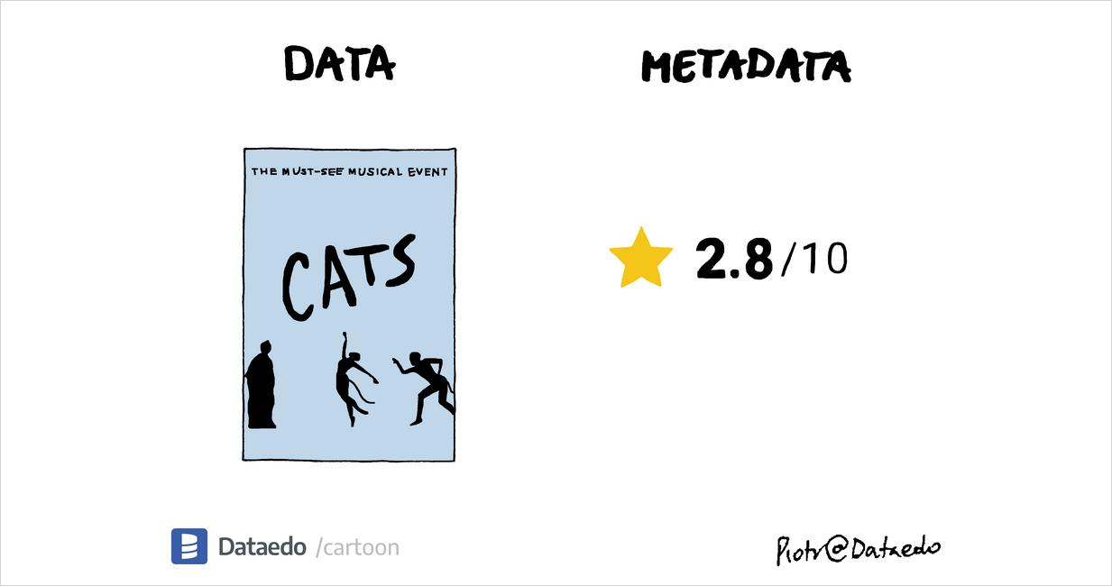 Data vs Metadata #13 - Dataedo Data Cartoons