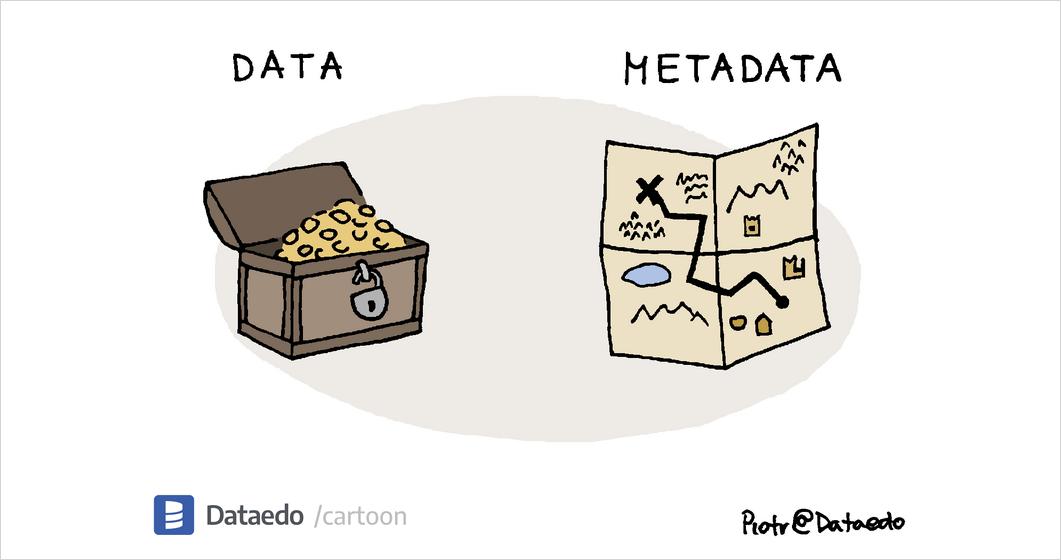 Data vs Metadata #2 - Dataedo Data Cartoons