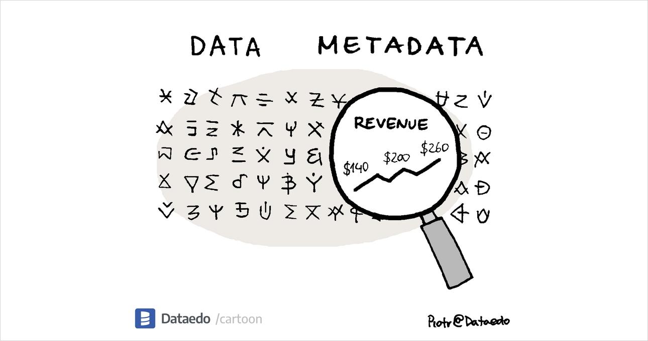 Data vs Metadata #3 - Dataedo Data Cartoons
