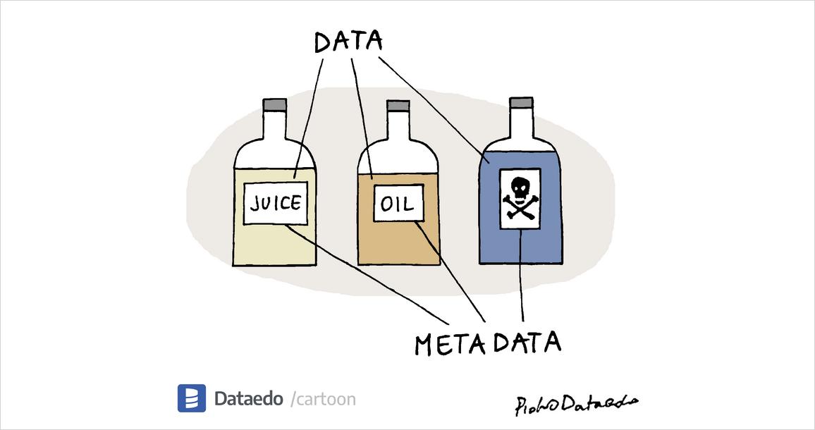 Data vs Metadata #4 - Dataedo Data Cartoons