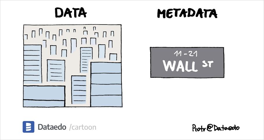 Data vs Metadata #5 - Dataedo Data Cartoons