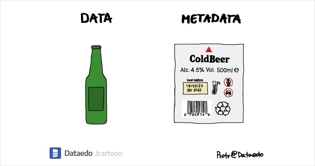 Data vs Metadata #8 - Dataedo Data Cartoons