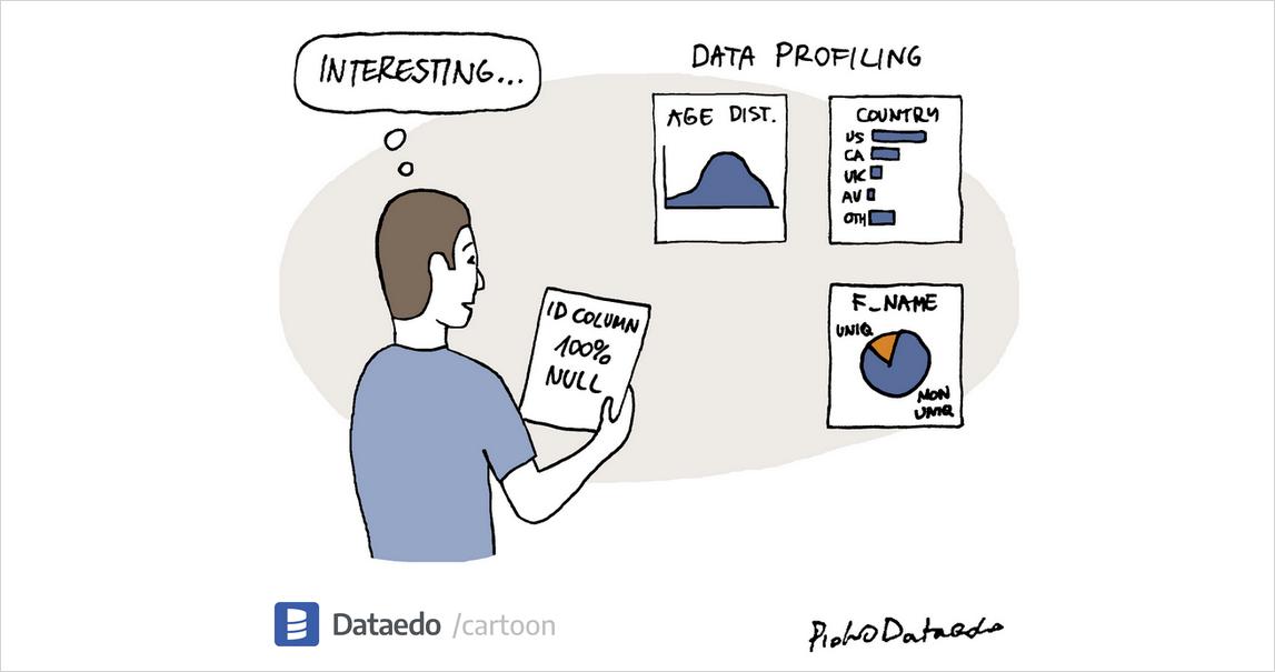 Data Profiling - Dataedo Data Cartoons