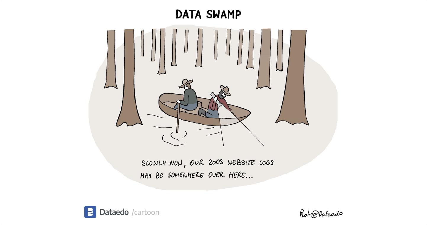 Data Swamp - Dataedo Data Cartoons