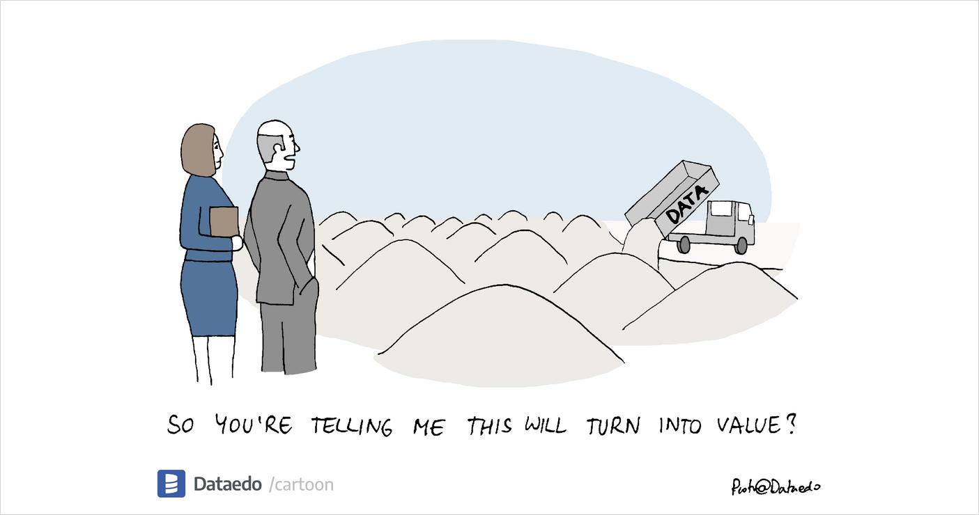 Data to Value - Dataedo Data Cartoons