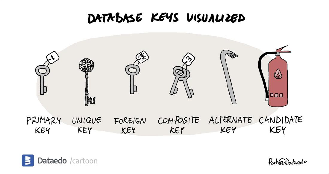 Database keys visualized - Dataedo Data Cartoons