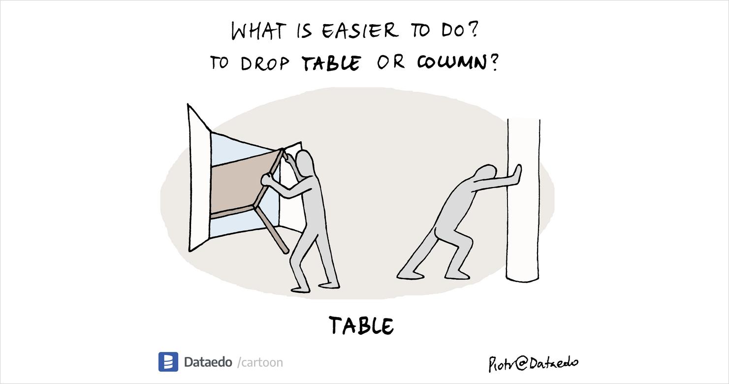 Drop Table or Column? - Dataedo Data Cartoons