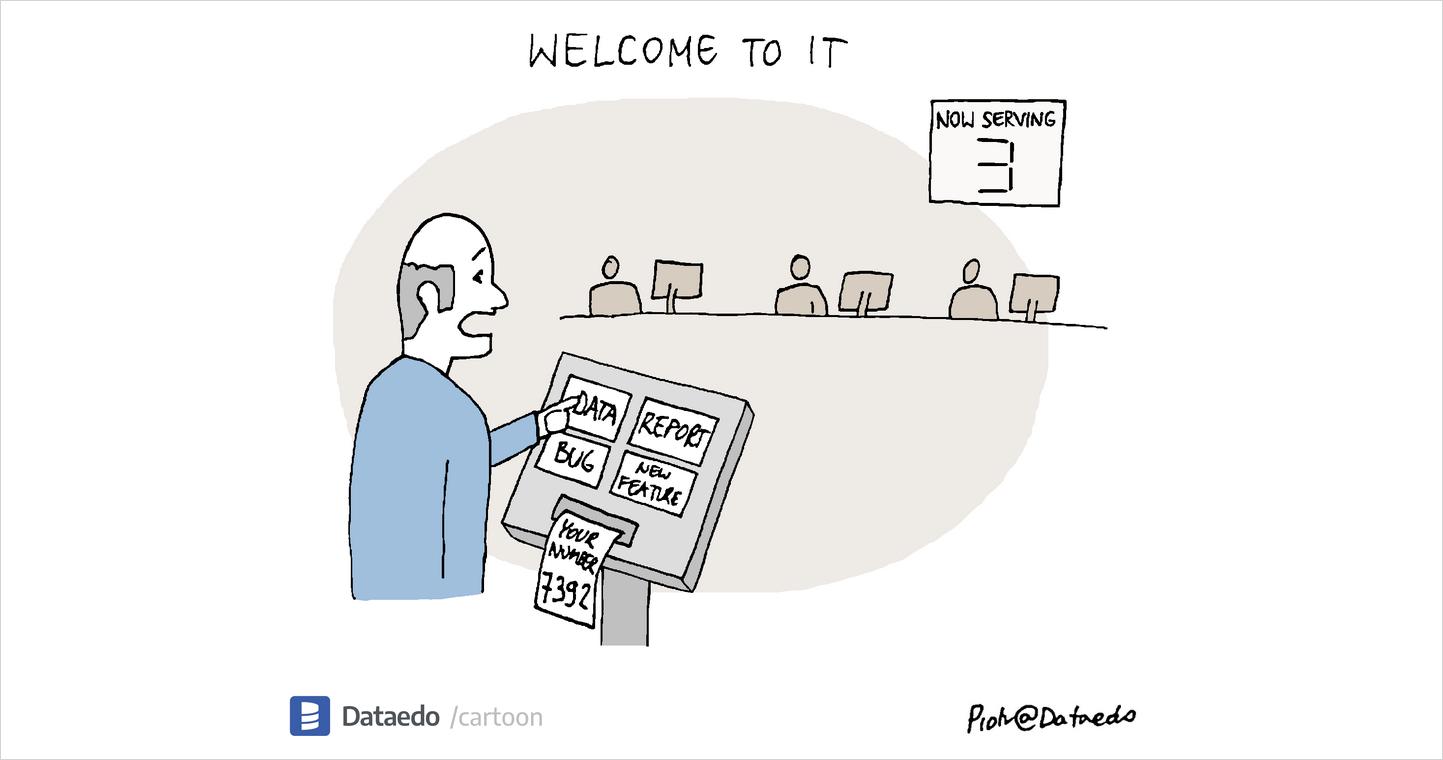 IT Queue - Dataedo Data Cartoons