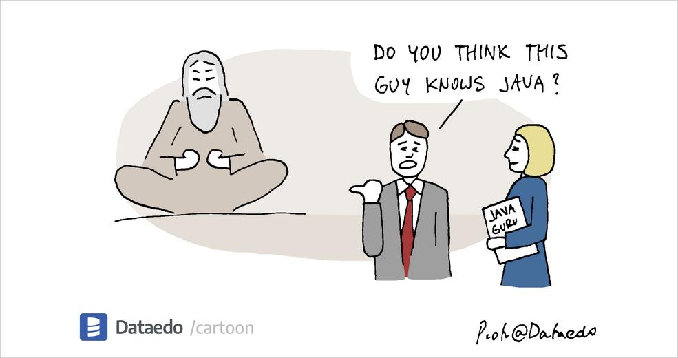 Java Guru - Dataedo Data Cartoons