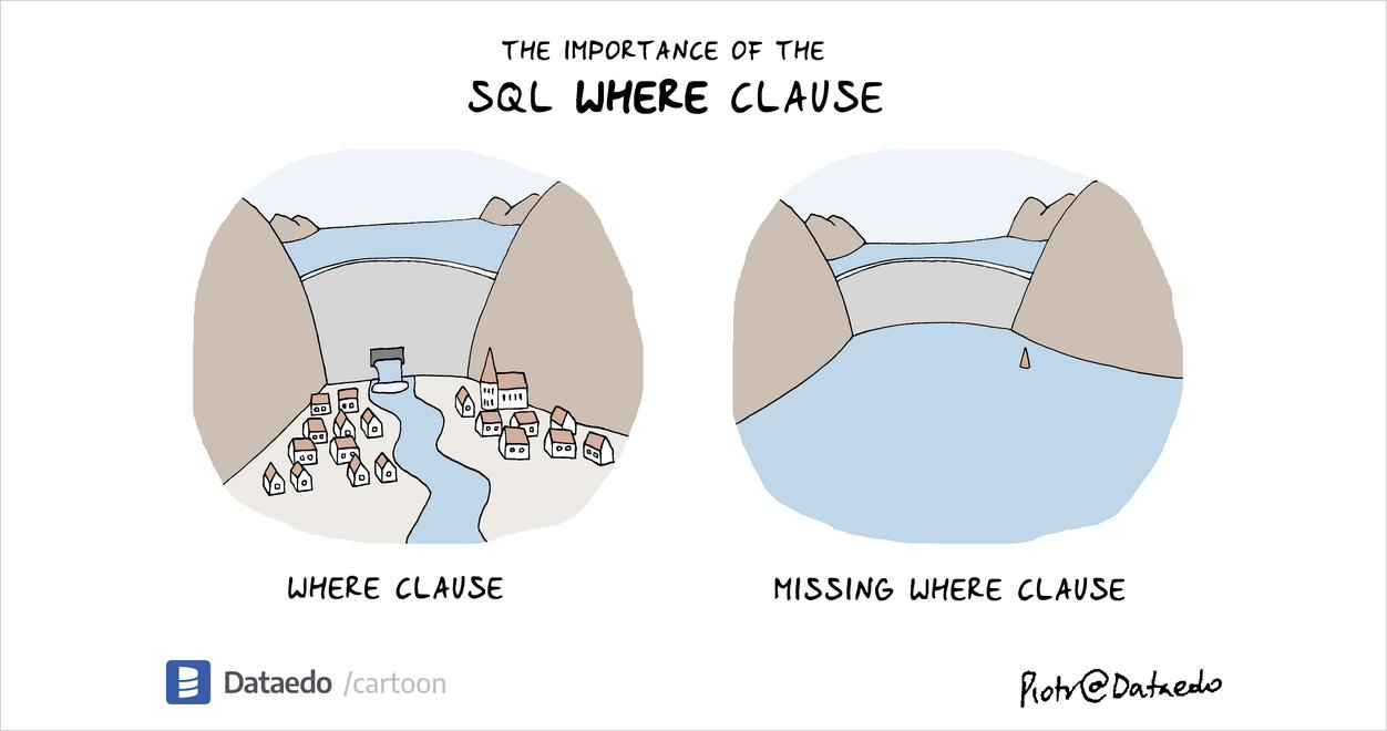 Importance of a Where Clause - Dataedo Data Cartoons