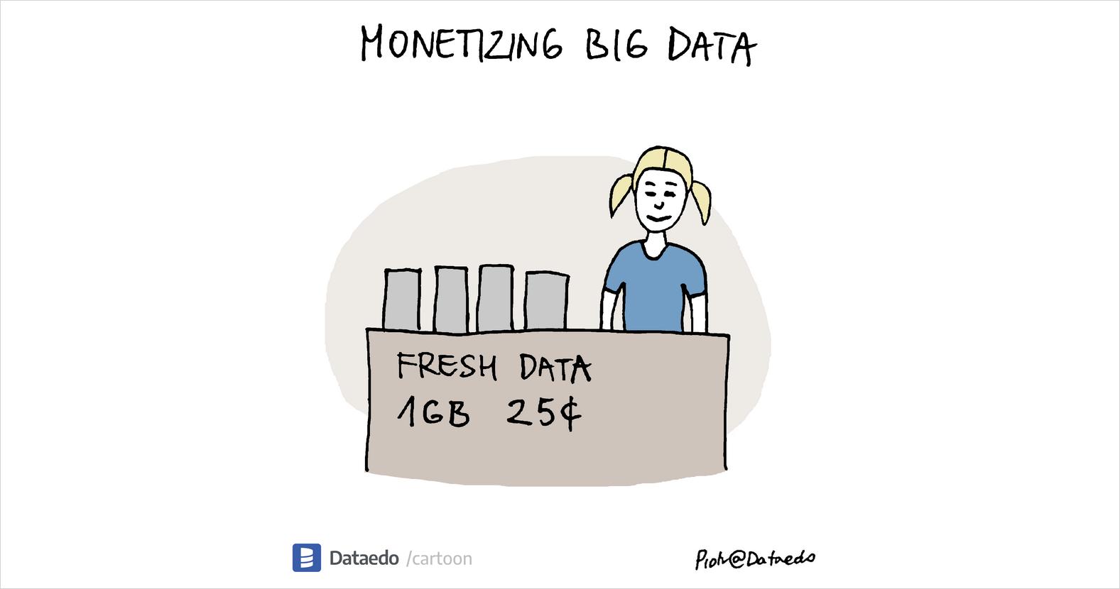 Big Data Monetization Strategy - Dataedo Data Cartoons