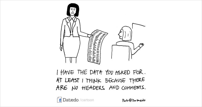 Mysterious data set - Dataedo Data Cartoons