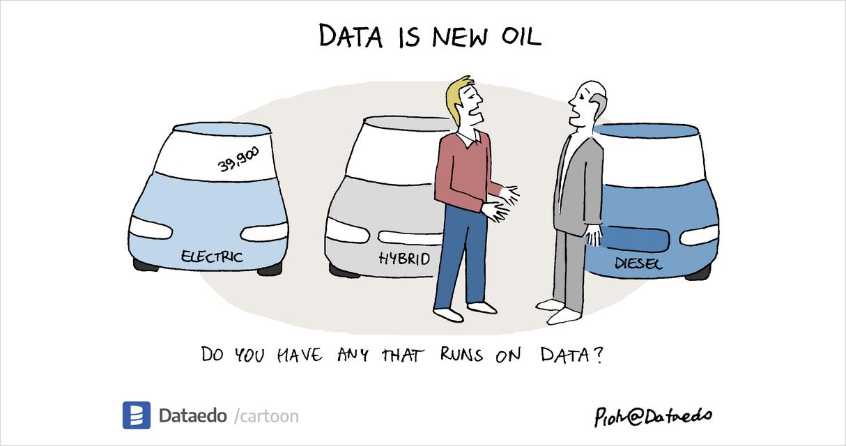 Forget EVs - Dataedo Data Cartoons