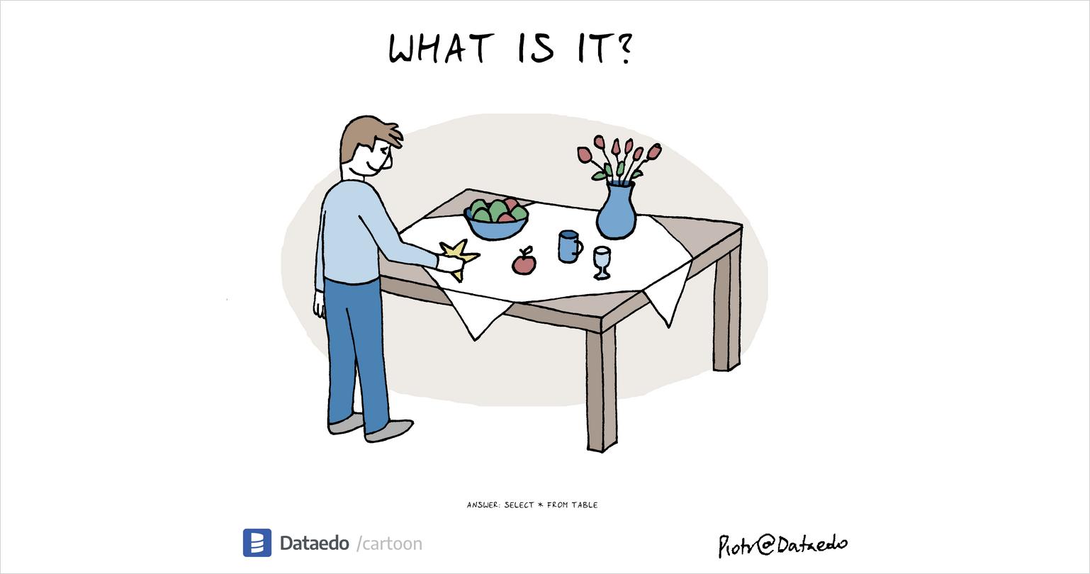 Select... - Dataedo Data Cartoons