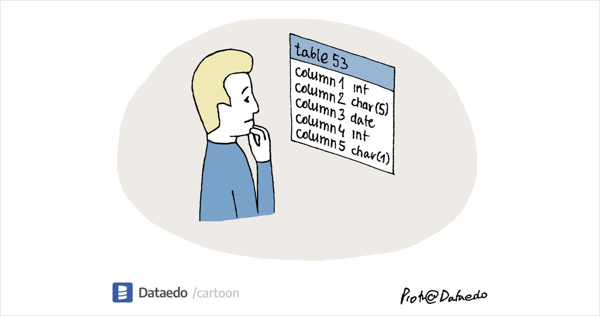 Table53 - Dataedo Data Cartoons