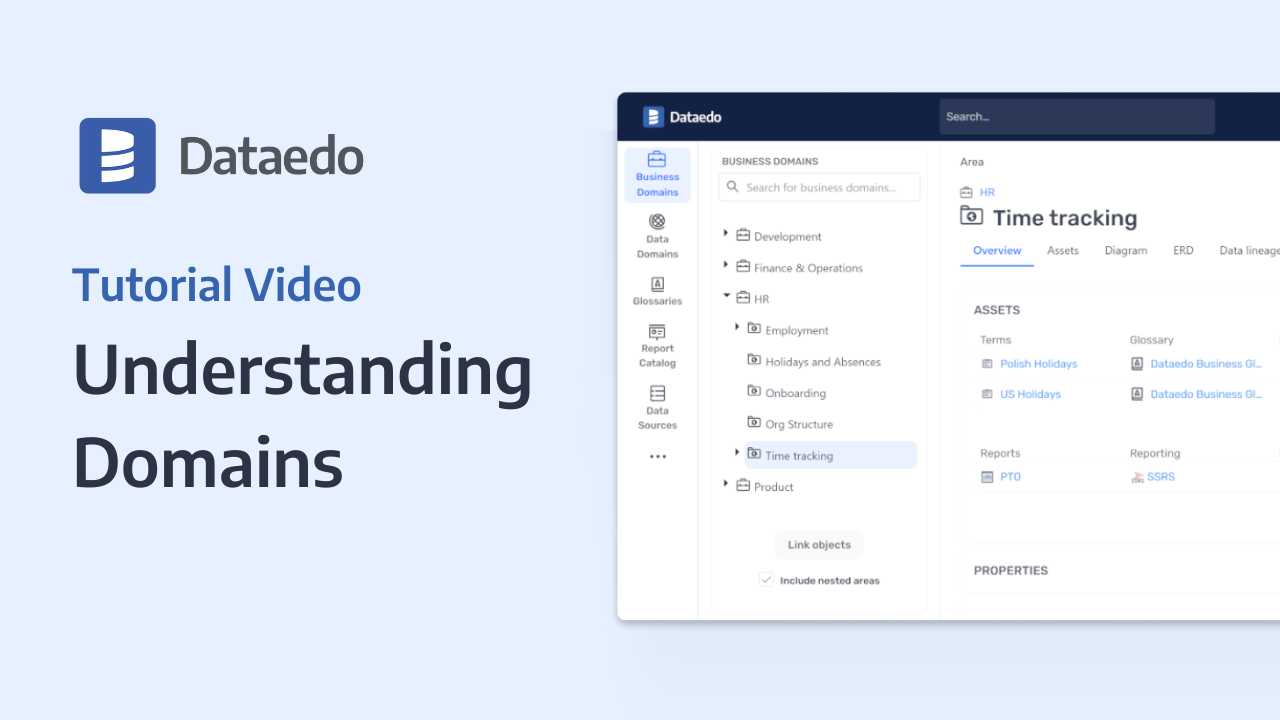 Understanding Domains - Dataedo
