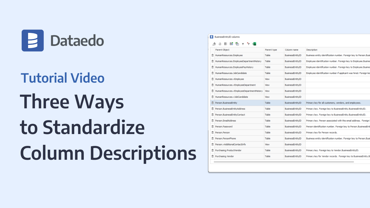 Three Ways to Standardize Column Descriptions - Dataedo